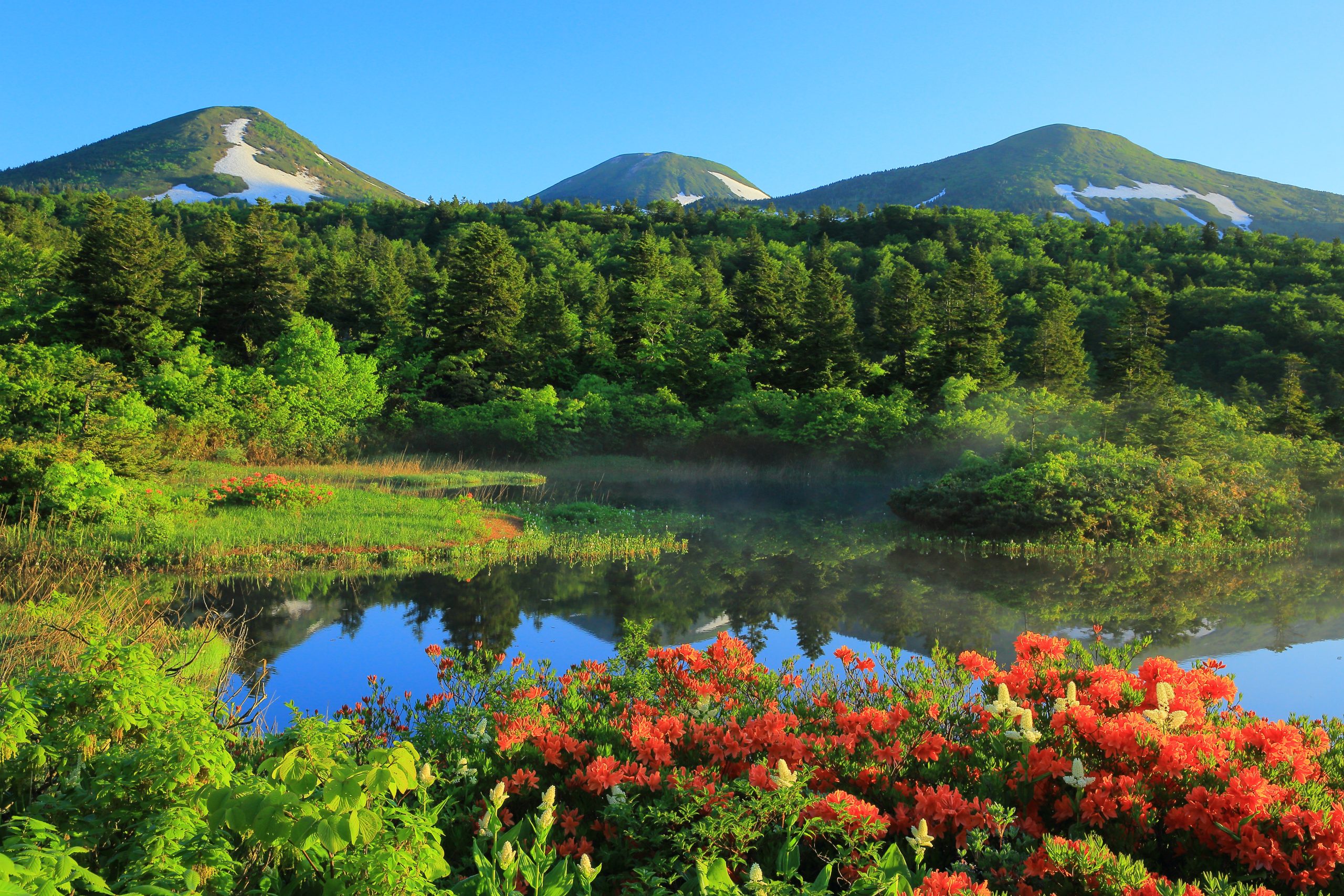 SATOYAについて - 青森のアクティビティガイド・ゲストハウス｜SATOYA（さとや）