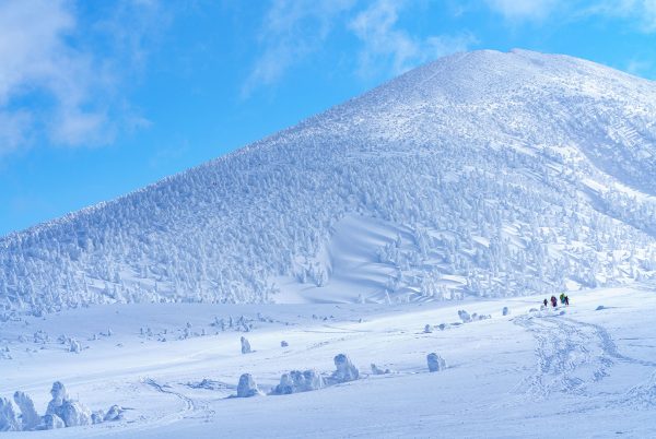 SATOYAの予約 - 青森のアクティビティガイド・ゲストハウス｜SATOYA（さとや）